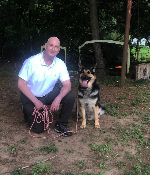 Dog Training In Connecticut - Steve Good Dog